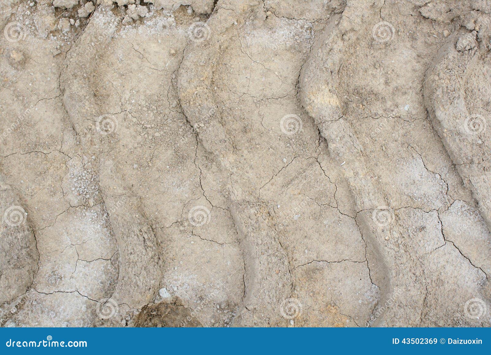 Brunst i landet fotografering för bildbyråer. Bild av modell - 43502369