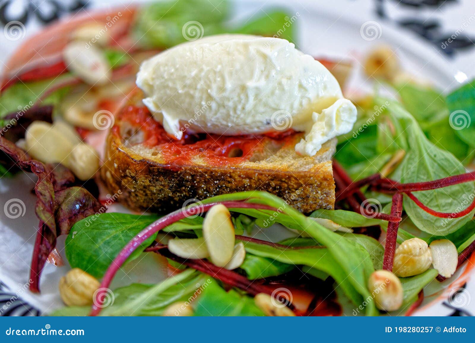Bruschetta with Goat Cheese and Beetroot Mousse Stock Image - Image of ...