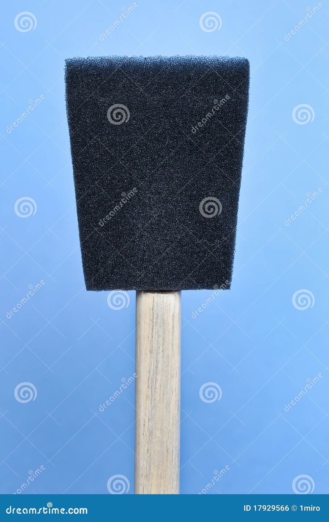 Brush stock photo. Image of painted, painting, varnish - 17929566