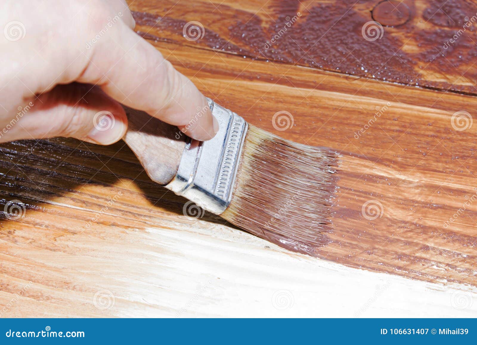 Brush in the Brown Paint, Paint a Tree. Stock Image - Image of draw ...