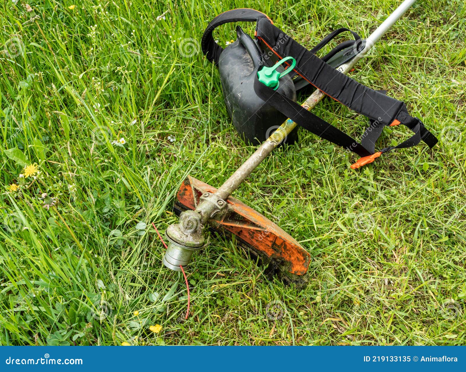 Brush cutter in a meadow stock image. Image of autumn - 219133135