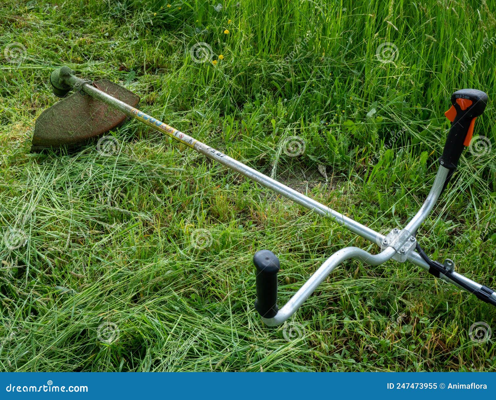 Brush Cutter in a Meadow Mowing Equipment Stock Image - Image of cutter ...