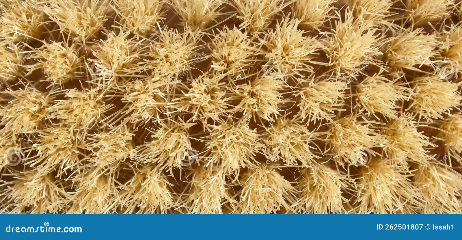 Brush Fiber with Nap Texture and Top Stock Image - Image of brush ...