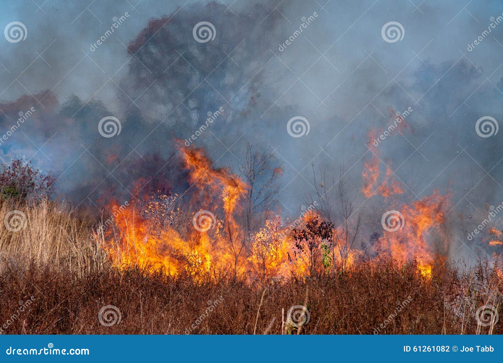 Brush fire stock photo. Image of smoking, brush, burn - 61261082