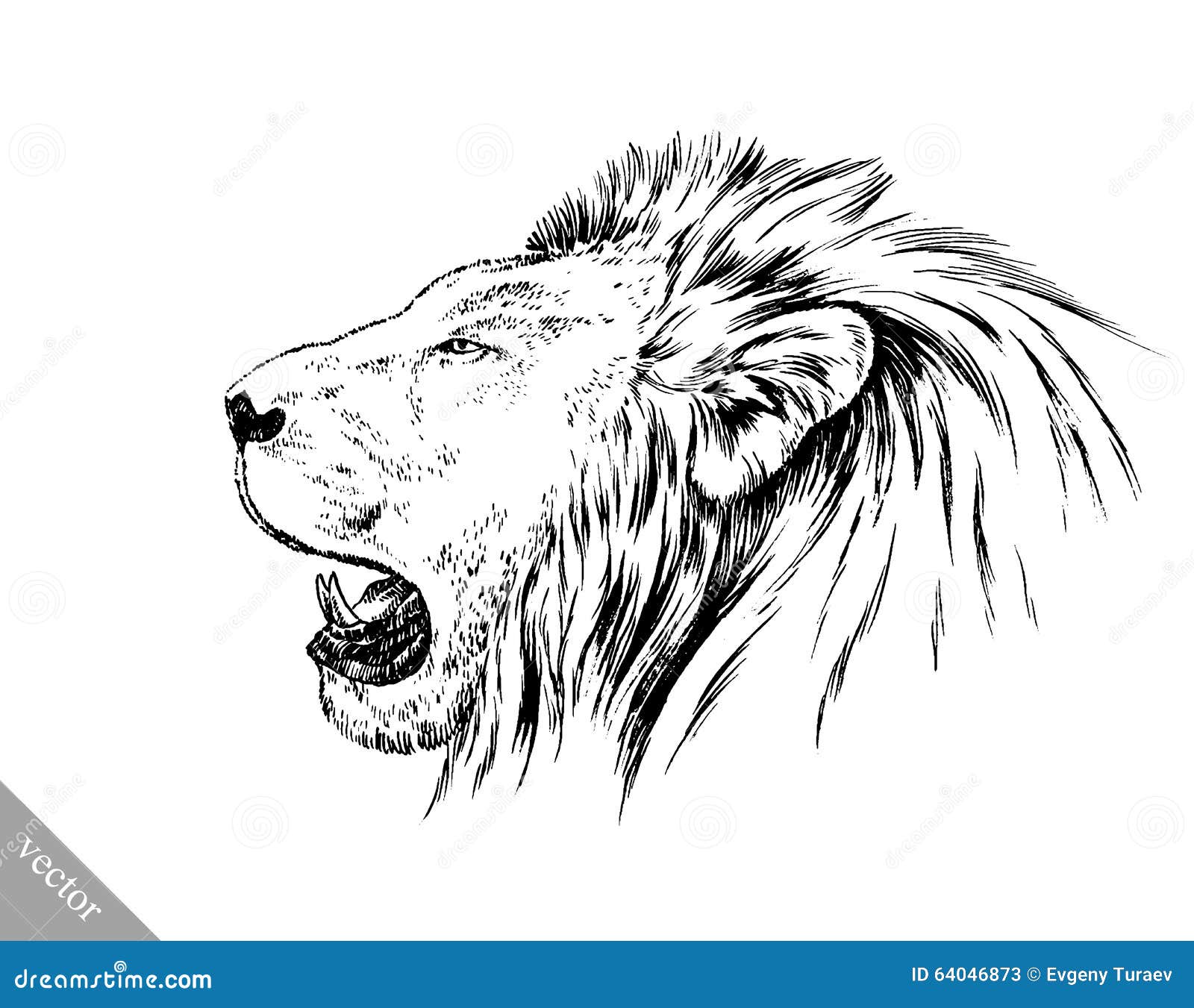 Brush Painting Ink Draw Isolated Lion Illustration Stock Vector ...