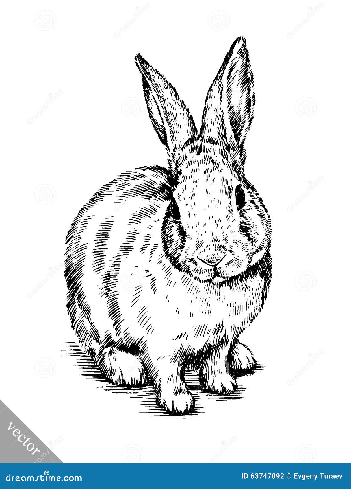 Brush Painting Ink Draw Isolated Rabbit Illustration Stock Vector ...