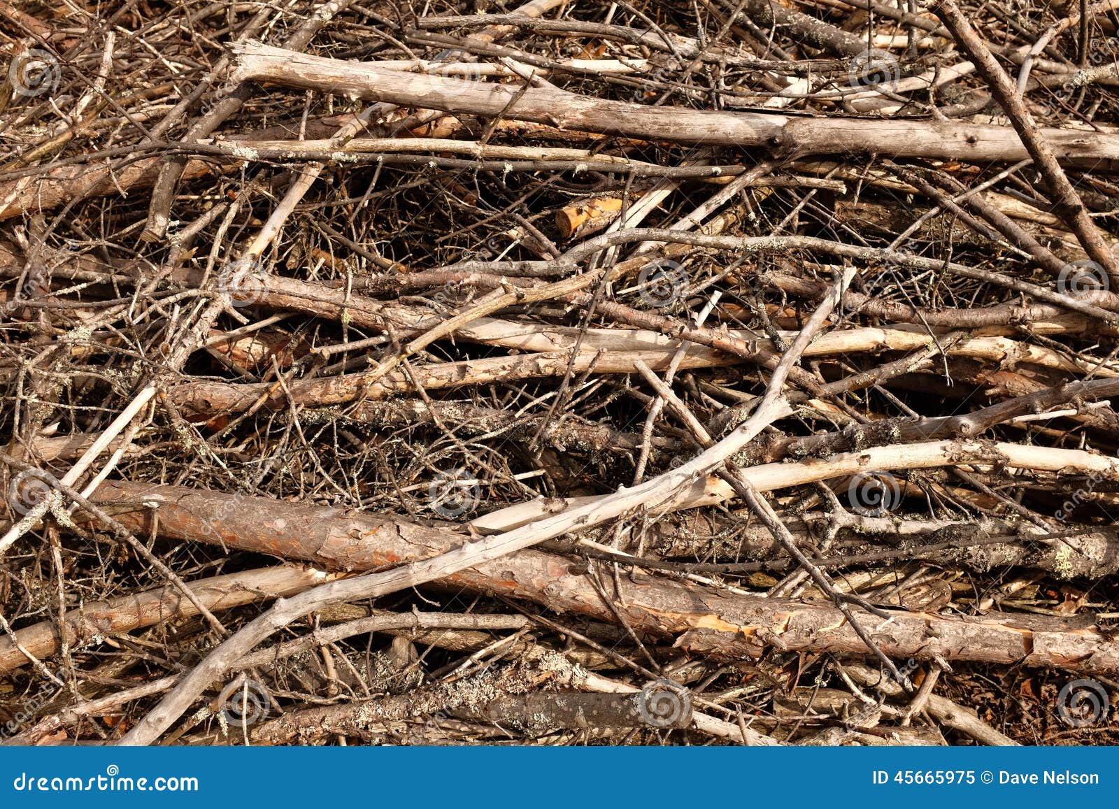 Brush pile background stock image. Image of sticks, background - 45665975