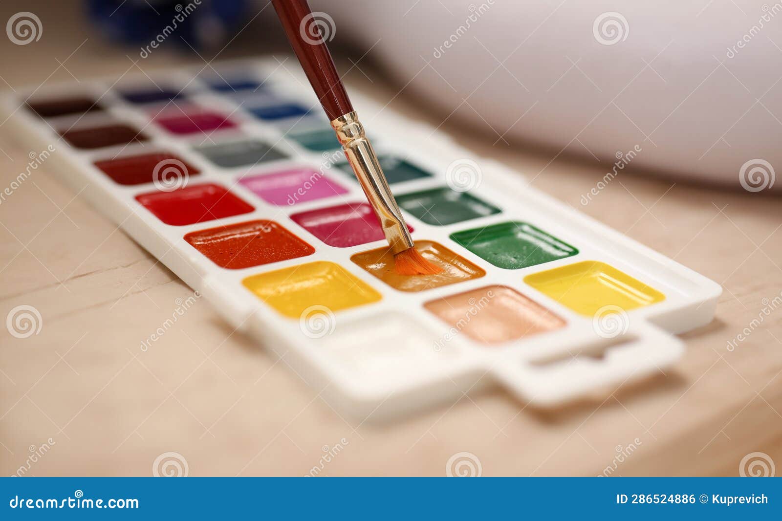 Brush Point in Watercolor Paint Closeup Stock Photo - Image of school ...