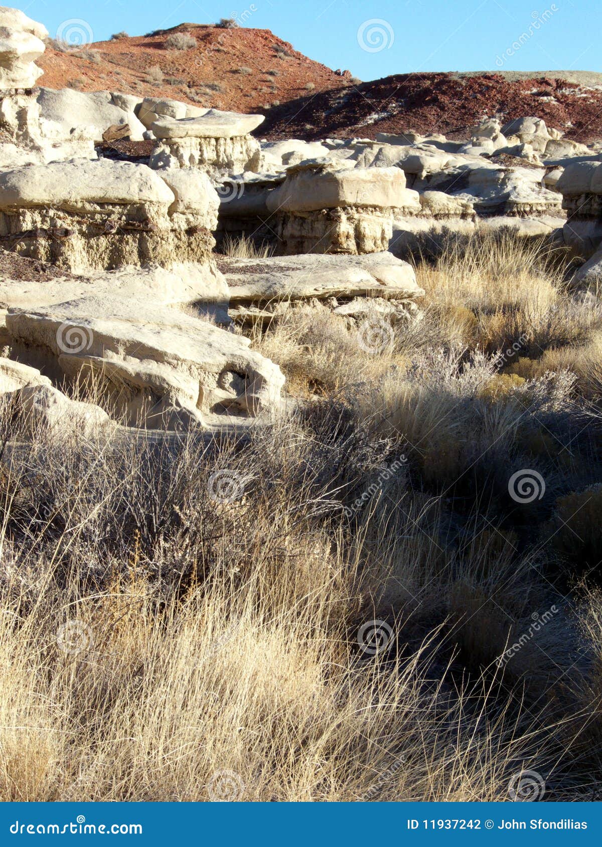 Brush and Rock stock photo. Image of desolate, desert - 11937242