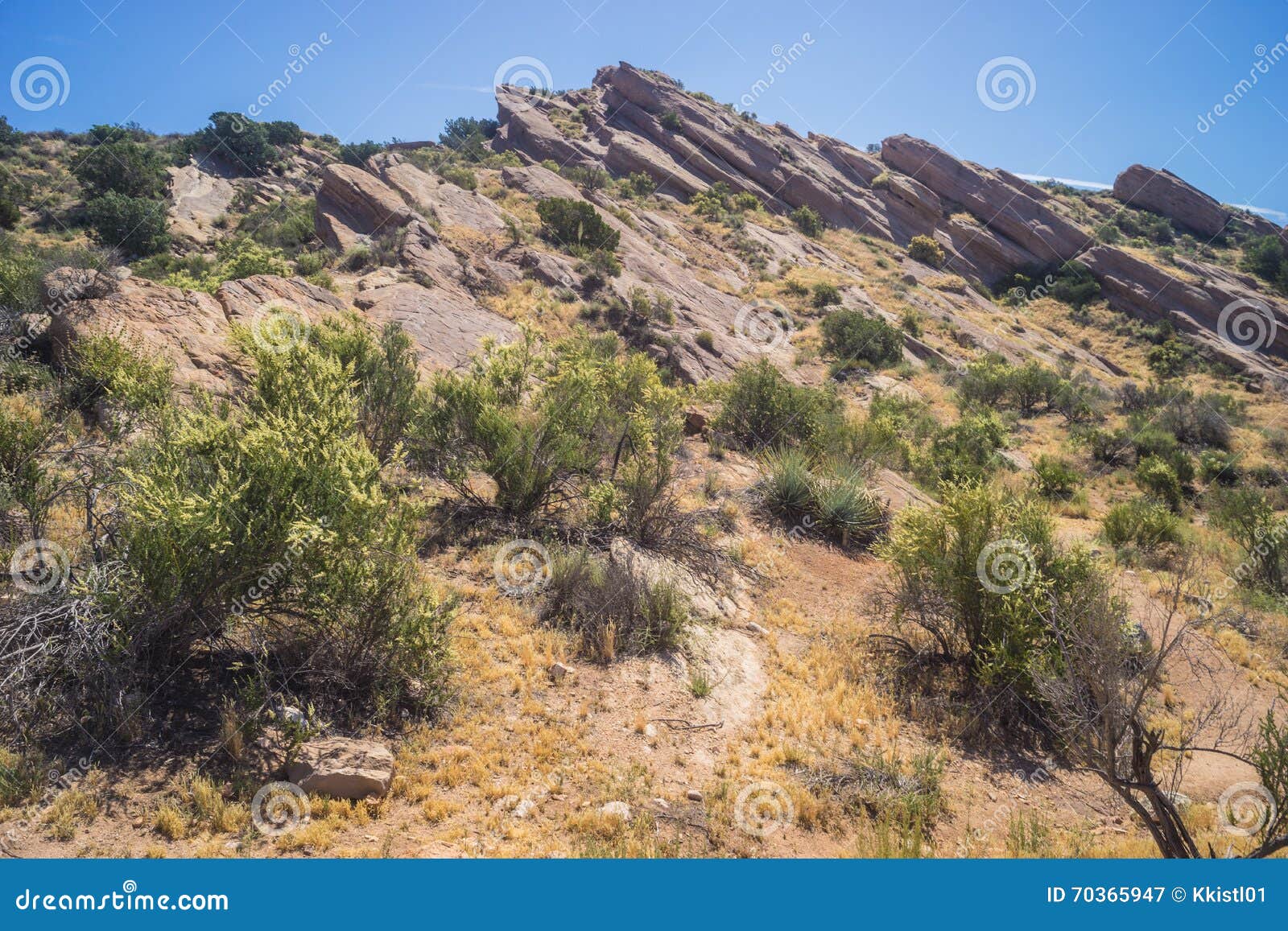 Brush and Rock of Mojave Desert Stock Image - Image of conservation ...