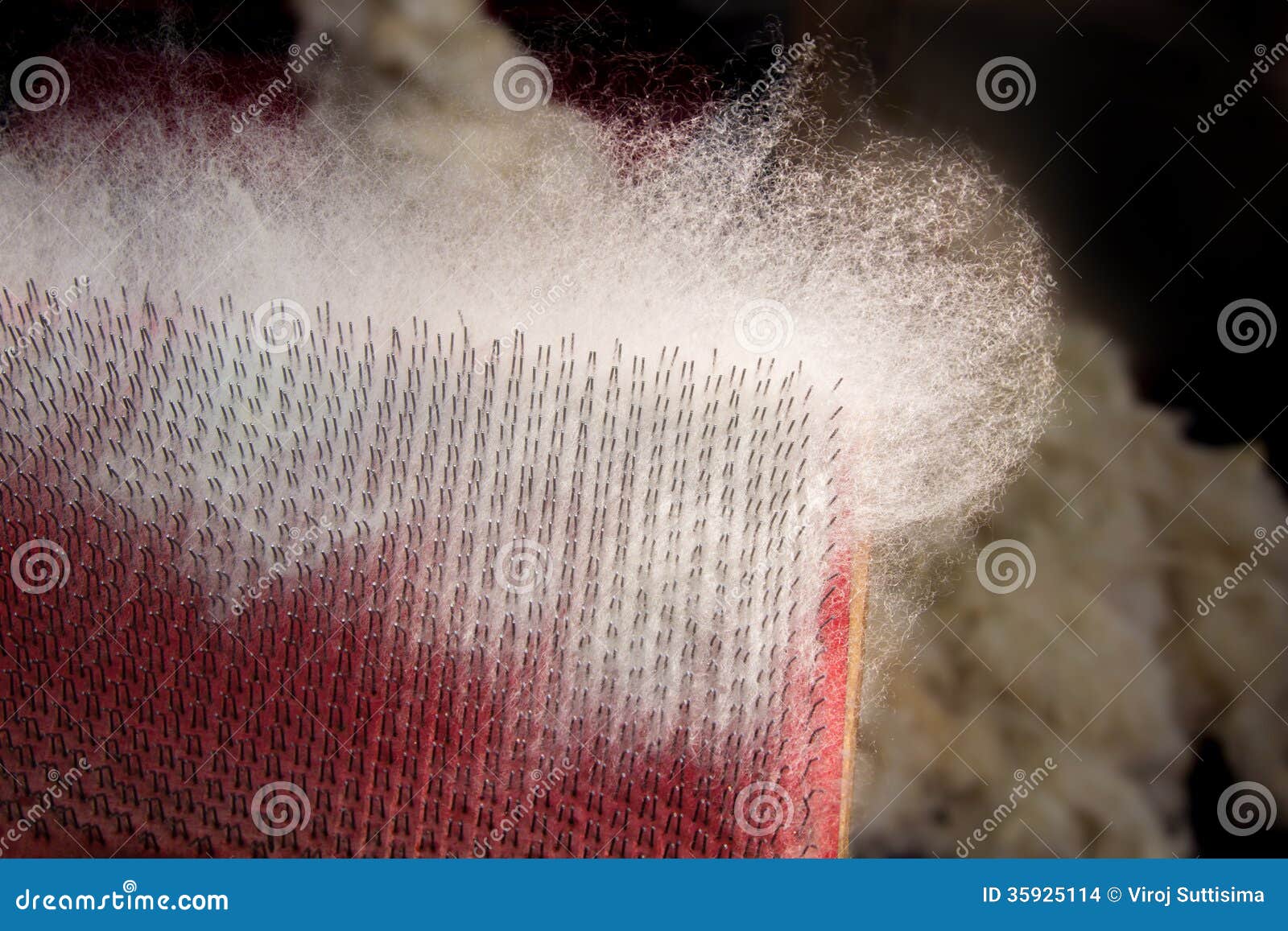 Brush for sheep. stock photo. Image of domestic, design - 35925114