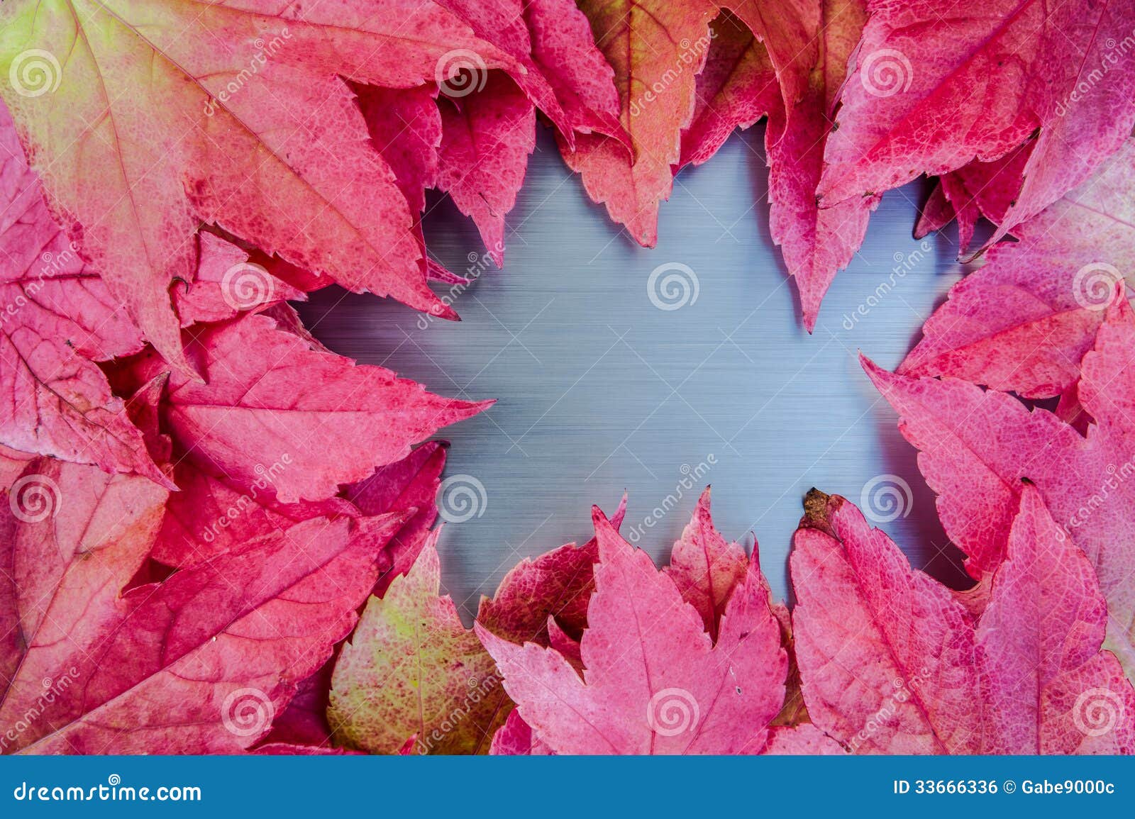 Brushed Metal Autumn Leaves Stock Photo - Image of vintage, blank: 33666336