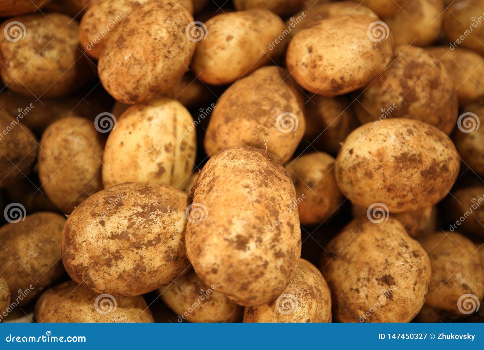 Brushed Potatoes at Australian Market Stock Image - Image of golden ...