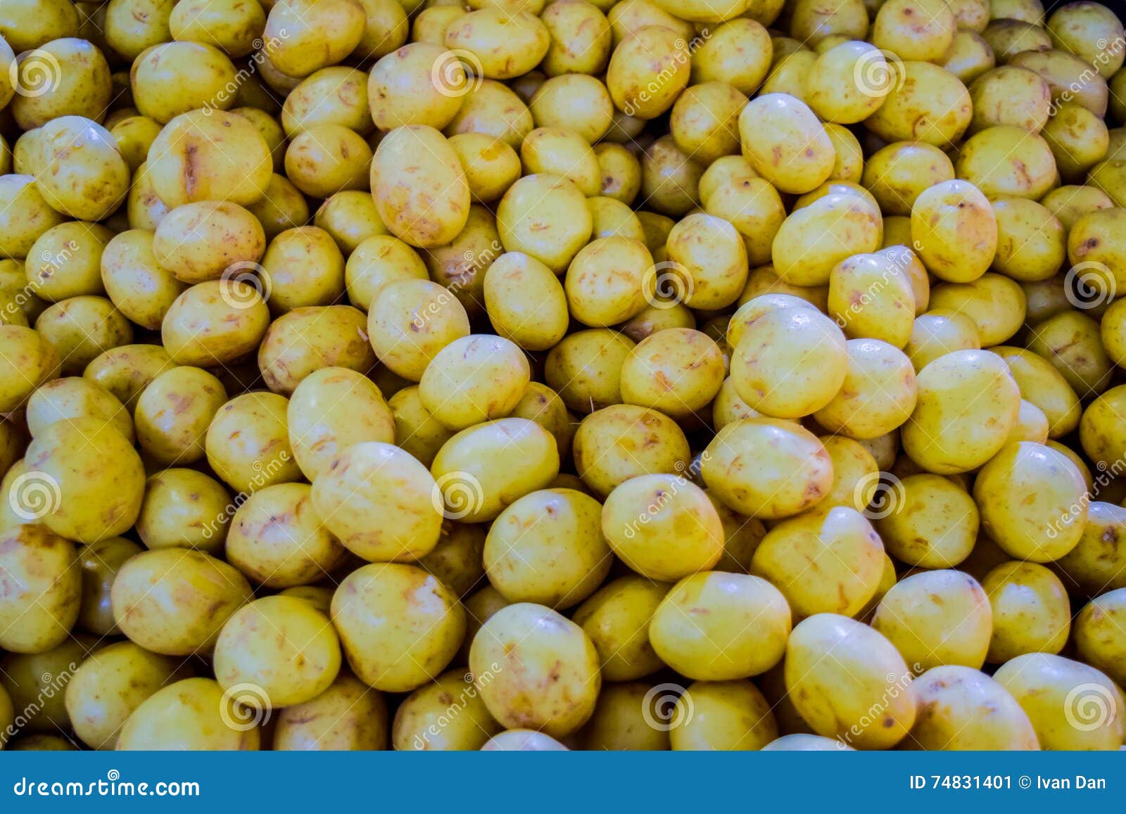 Brushed or white potatoes stock image. Image of natural - 74831401