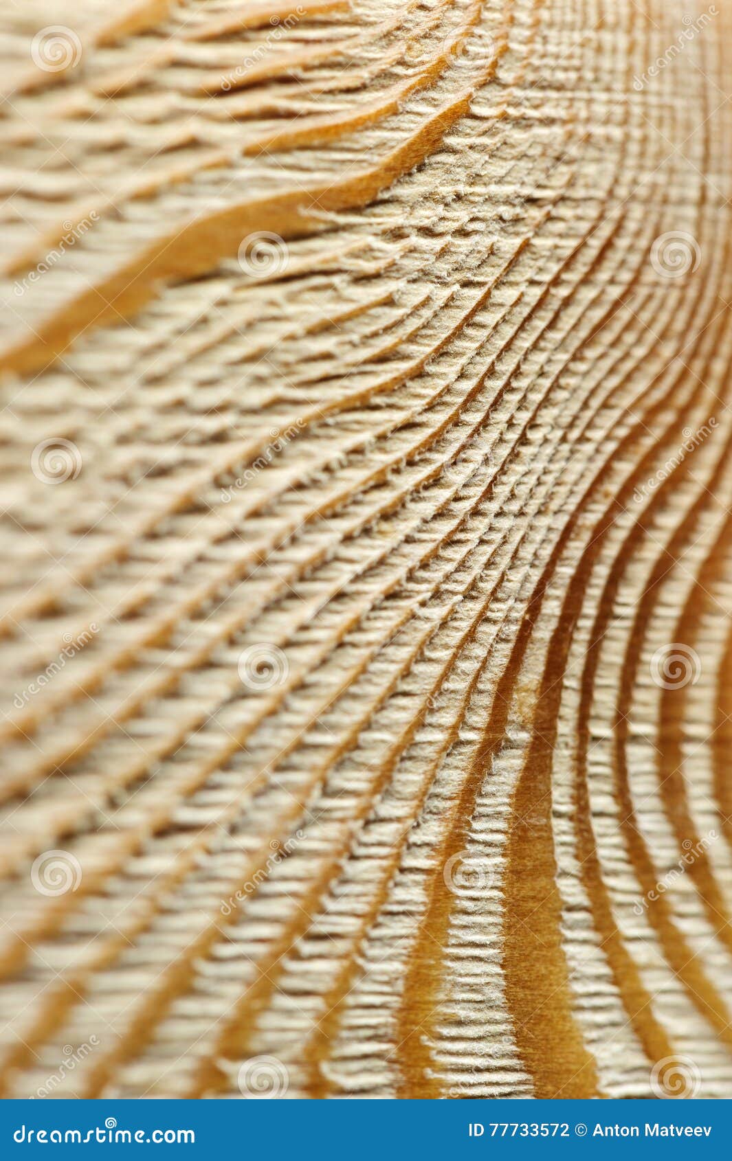 Brushed wood texture stock photo. Image of curves, brown - 77733572