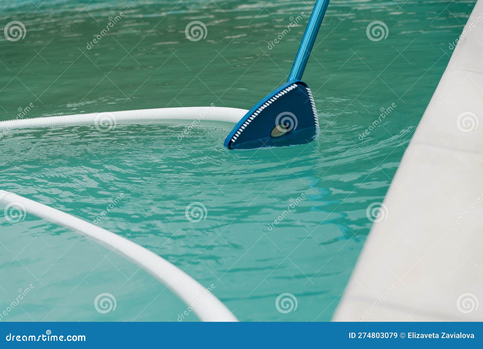 Brushing Outdoor Swimming Pool Stock Image - Image of brush, adult ...