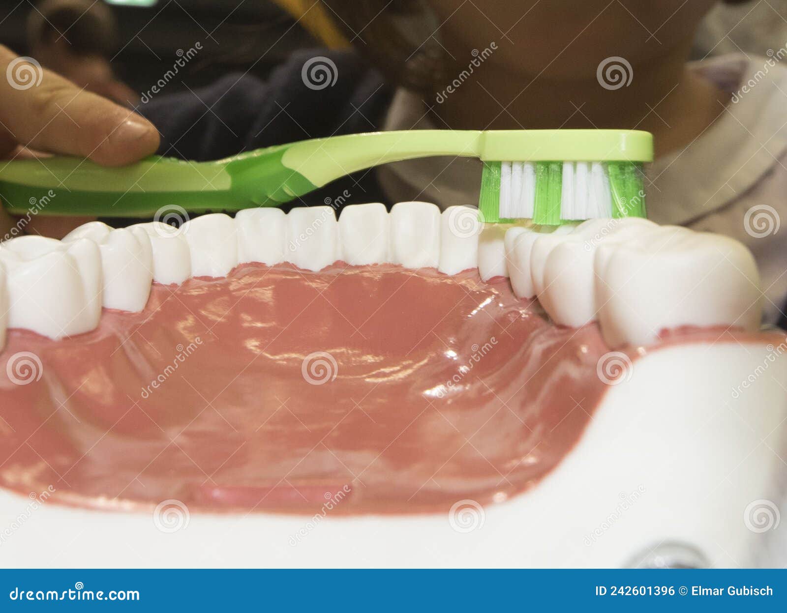 Brushing with Toothbrush and Toothpaste Stock Photo - Image of medical ...