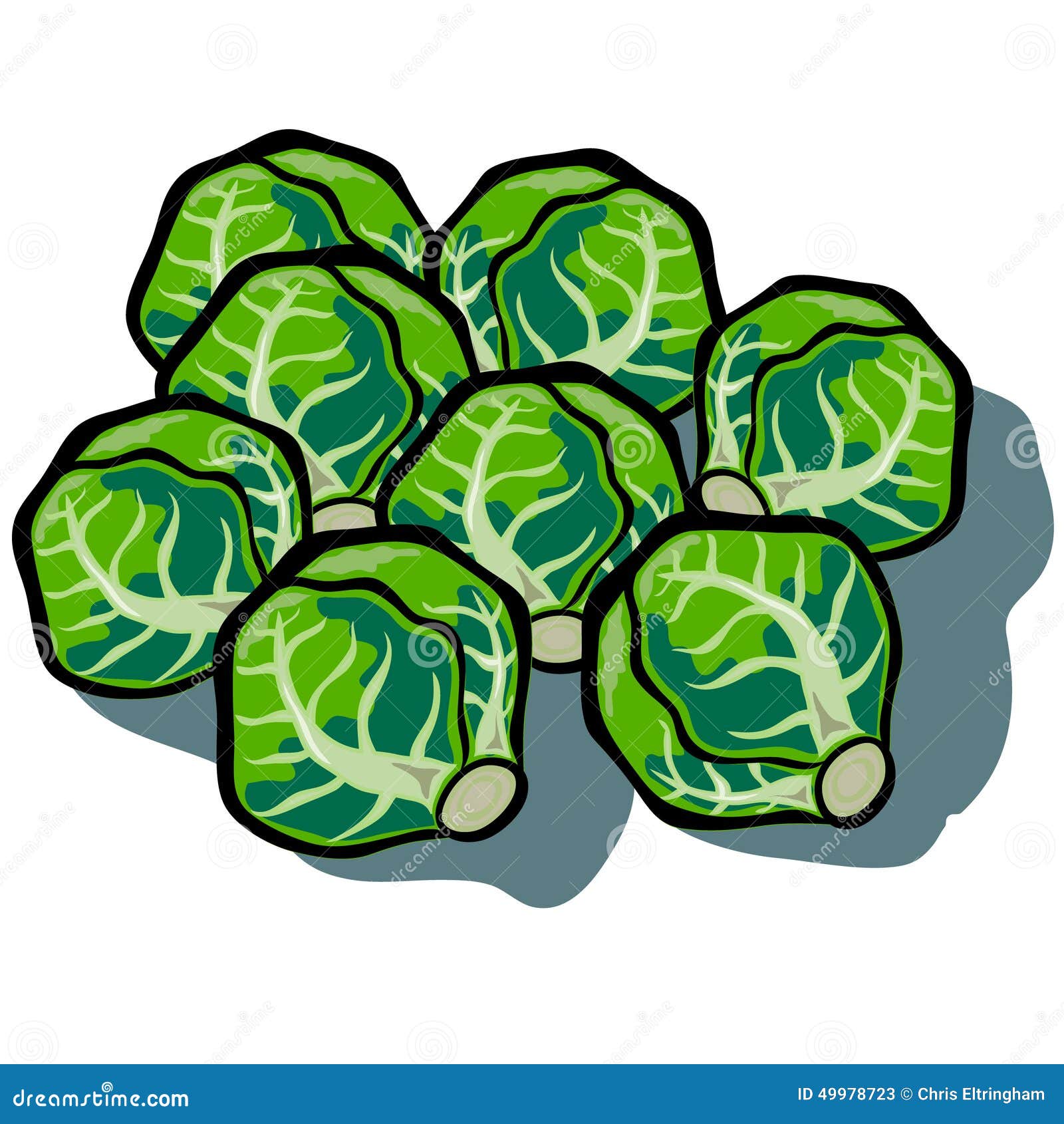 Sprouts Stock Illustrations – 11,519 Sprouts Stock Illustrations ...
