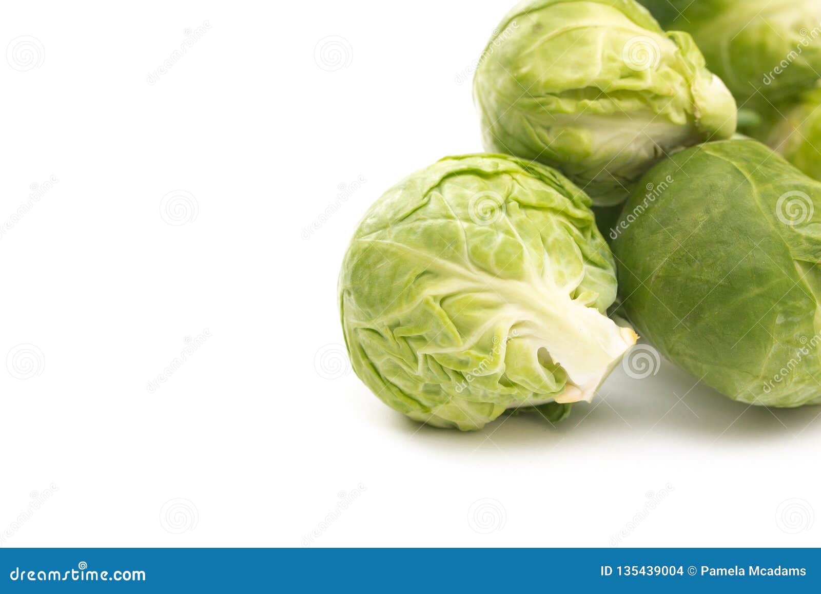 Brussel Sprouts on a White Background Stock Photo - Image of diet ...