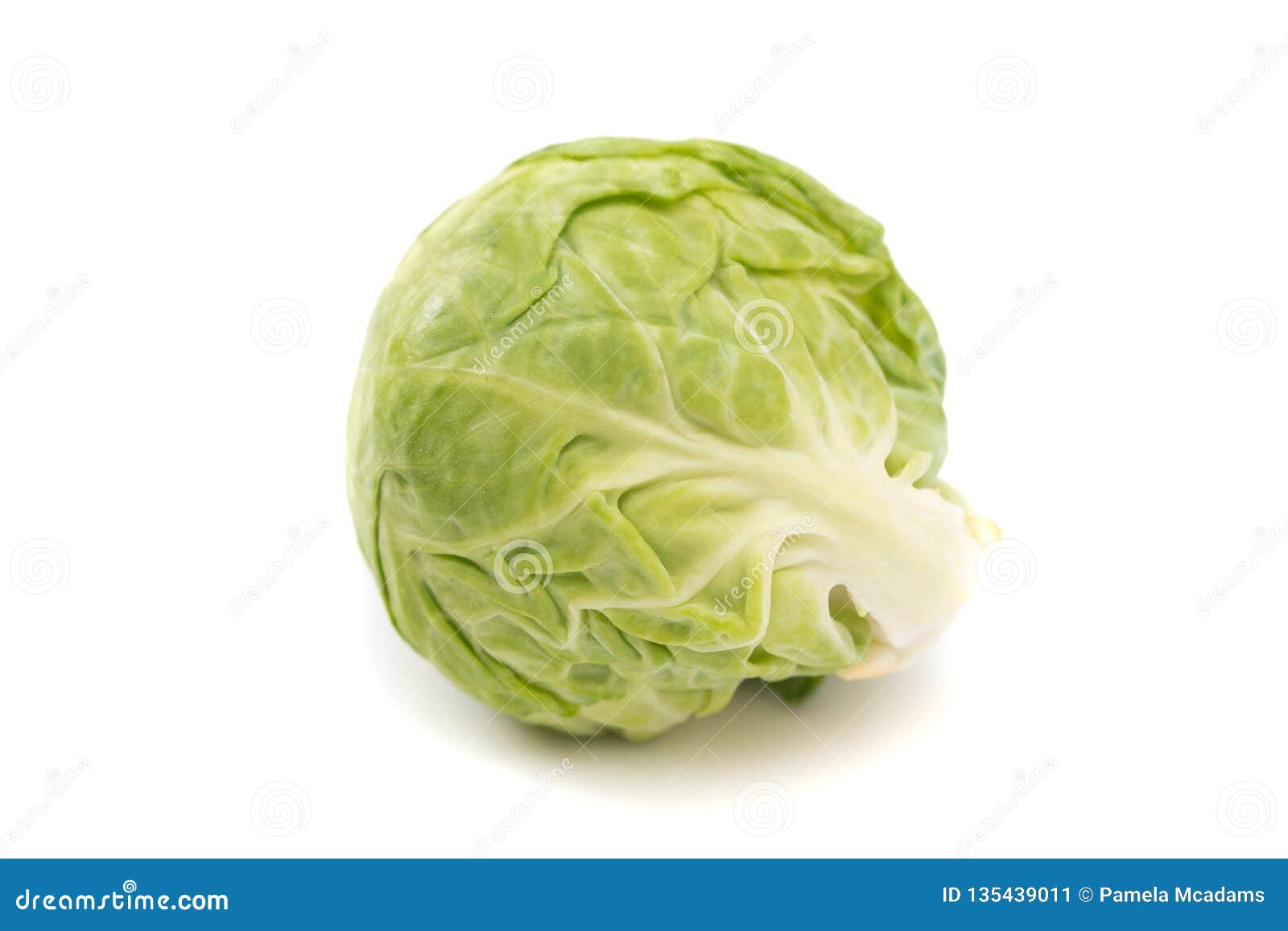 Brussel Sprouts on a White Background Stock Image - Image of nature ...