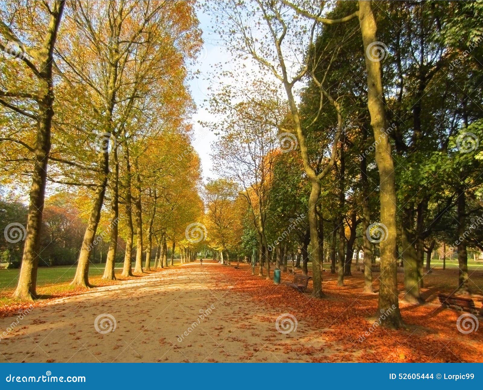 Brussels, Belgium stock photo. Image of autumn, brussels - 52605444