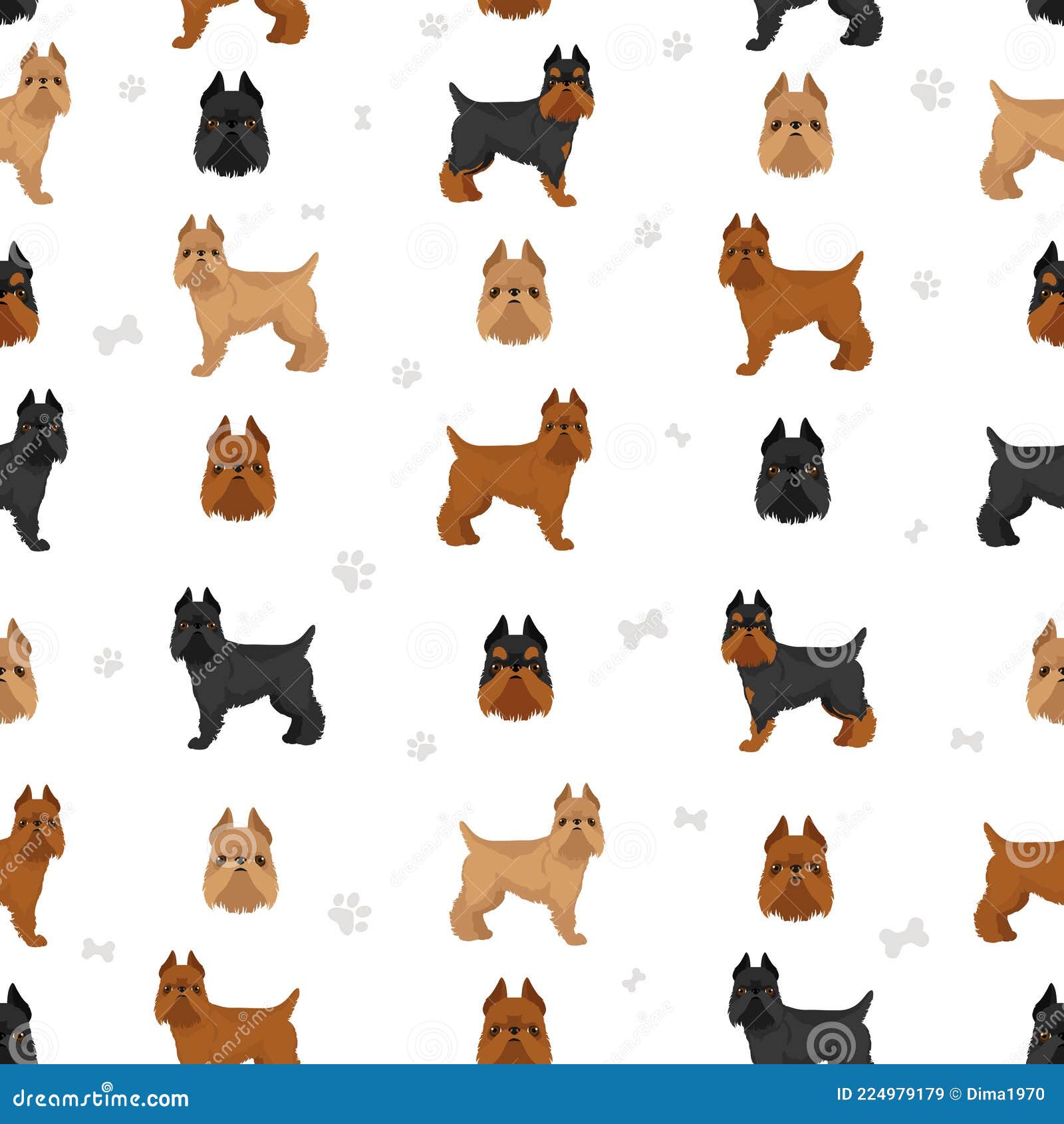 Brussels Griffon Seamless Pattern. Different Coat Colors and Poses Set ...