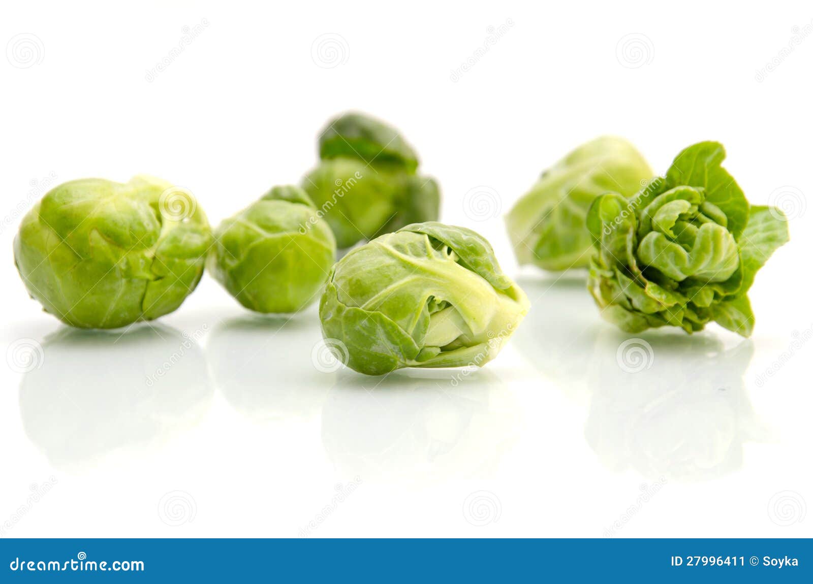 Brussels sprouts cabbage stock image. Image of nature - 27996411