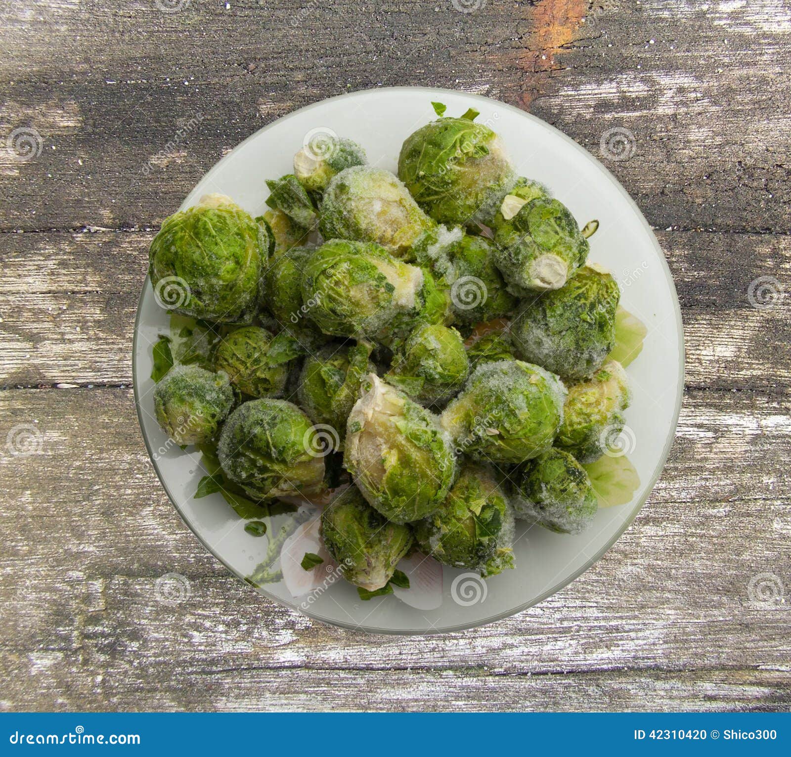 Brussels sprouts cabbage stock photo. Image of green - 42310420