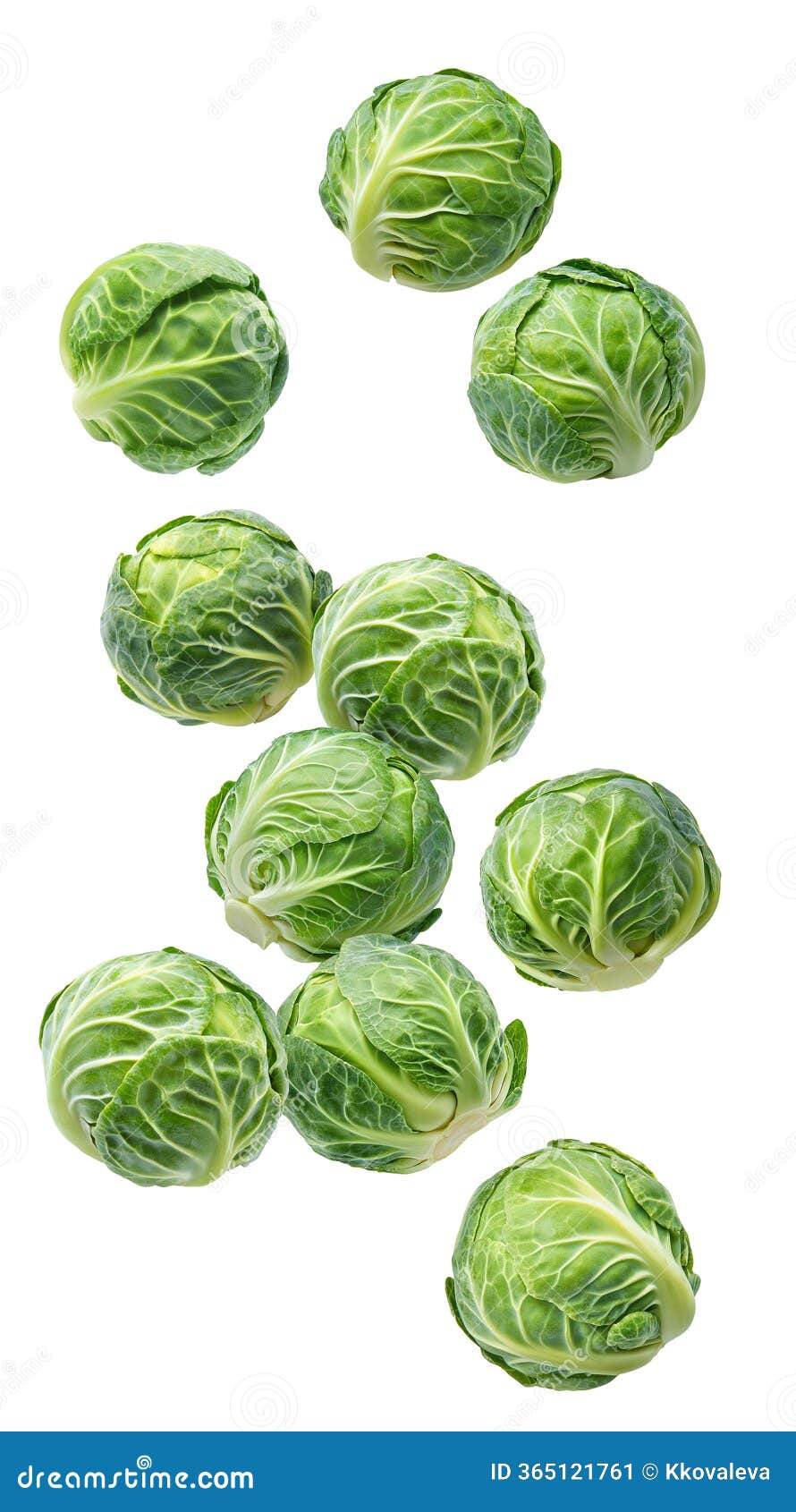Brussels Sprouts Flying Isolated On White Background. Package Design ...