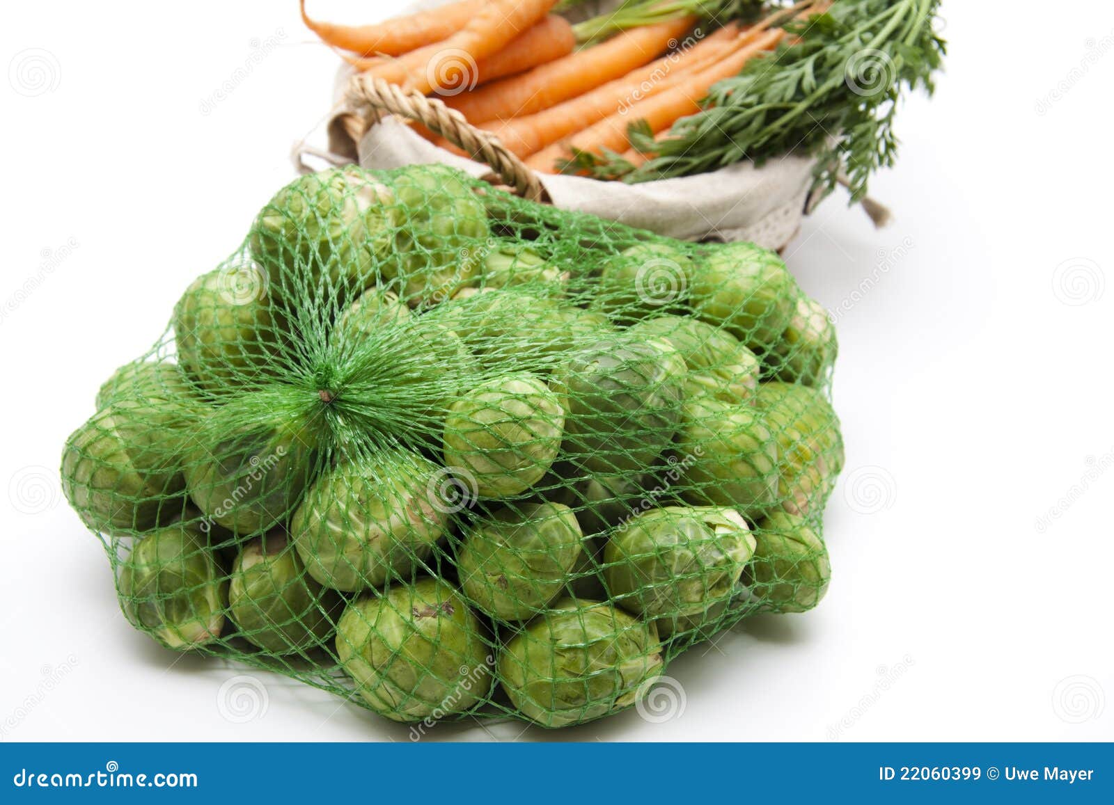 Brussels Sprouts in the Net Stock Image - Image of sprouts, leaf: 22060399
