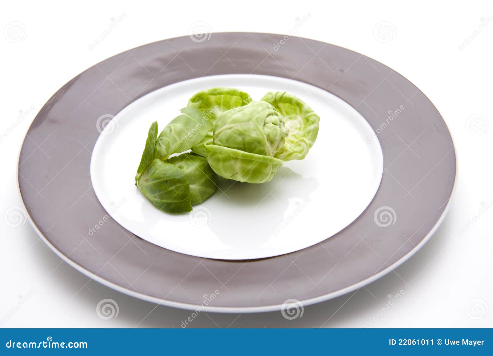 Brussels sprouts on plate stock image. Image of harvested - 22061011