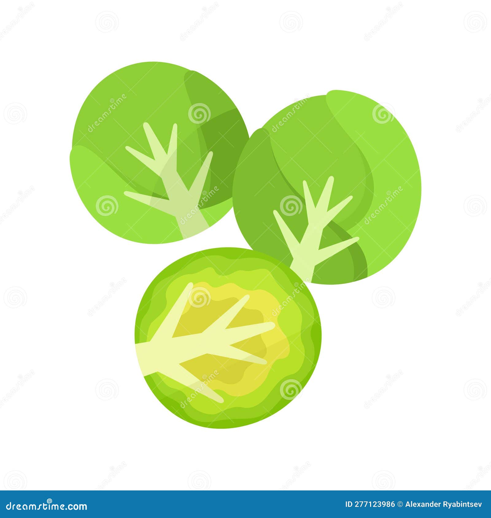 Brussels Sprouts Vector Illustration. Vegetables on White Background. Stock Vector ...