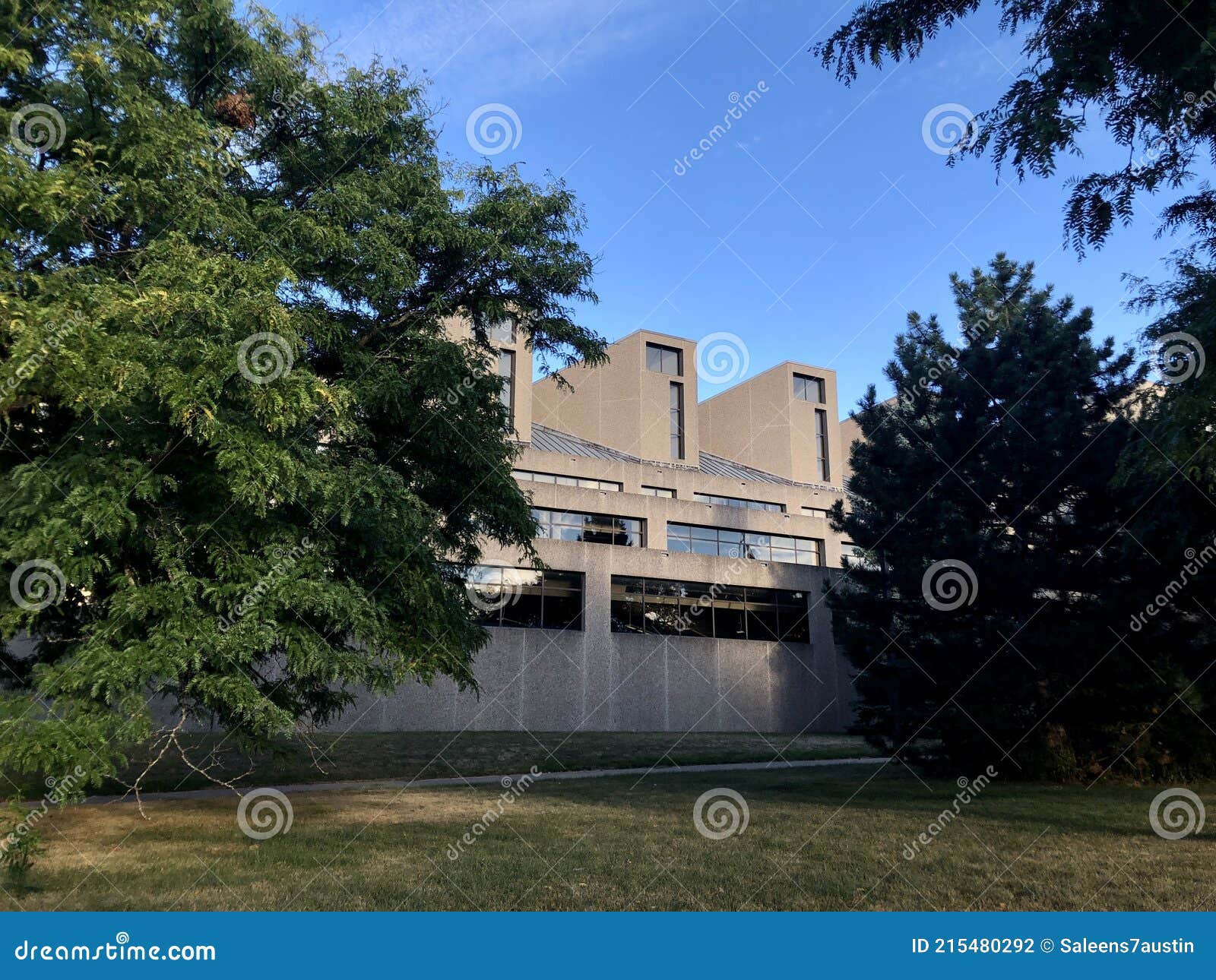 Niagara Falls Public Library Stock Photo - Image of dark, green: 215480292