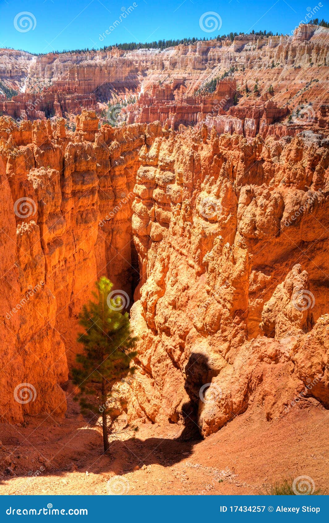Bryce Canyon stock image. Image of green, destination - 17434257