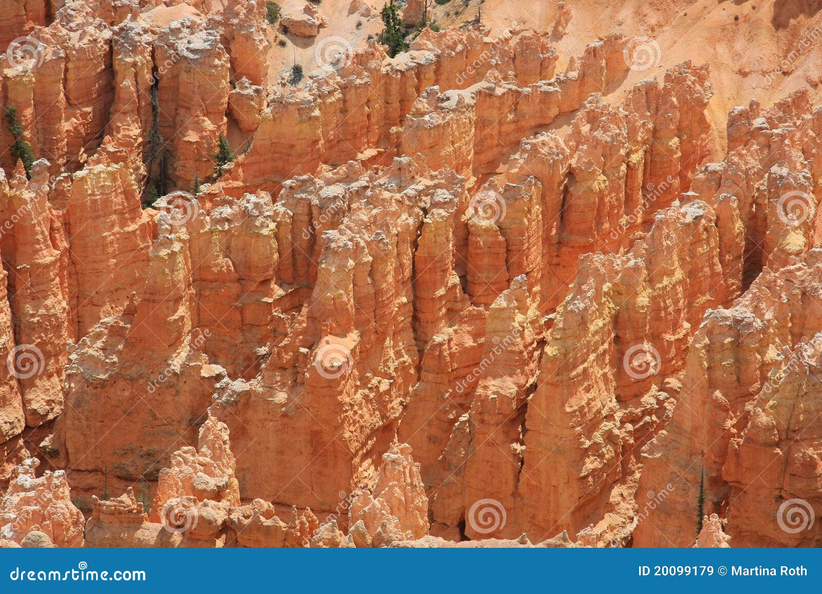 Bryce Canyon stock image. Image of plant, freedom, adventurous - 20099179
