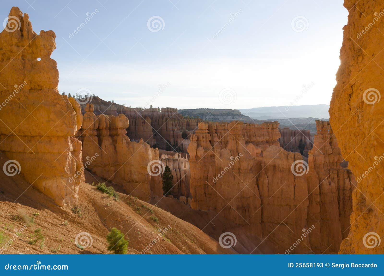 Bryce Canyon stock image. Image of vegetation, canyon - 25658193