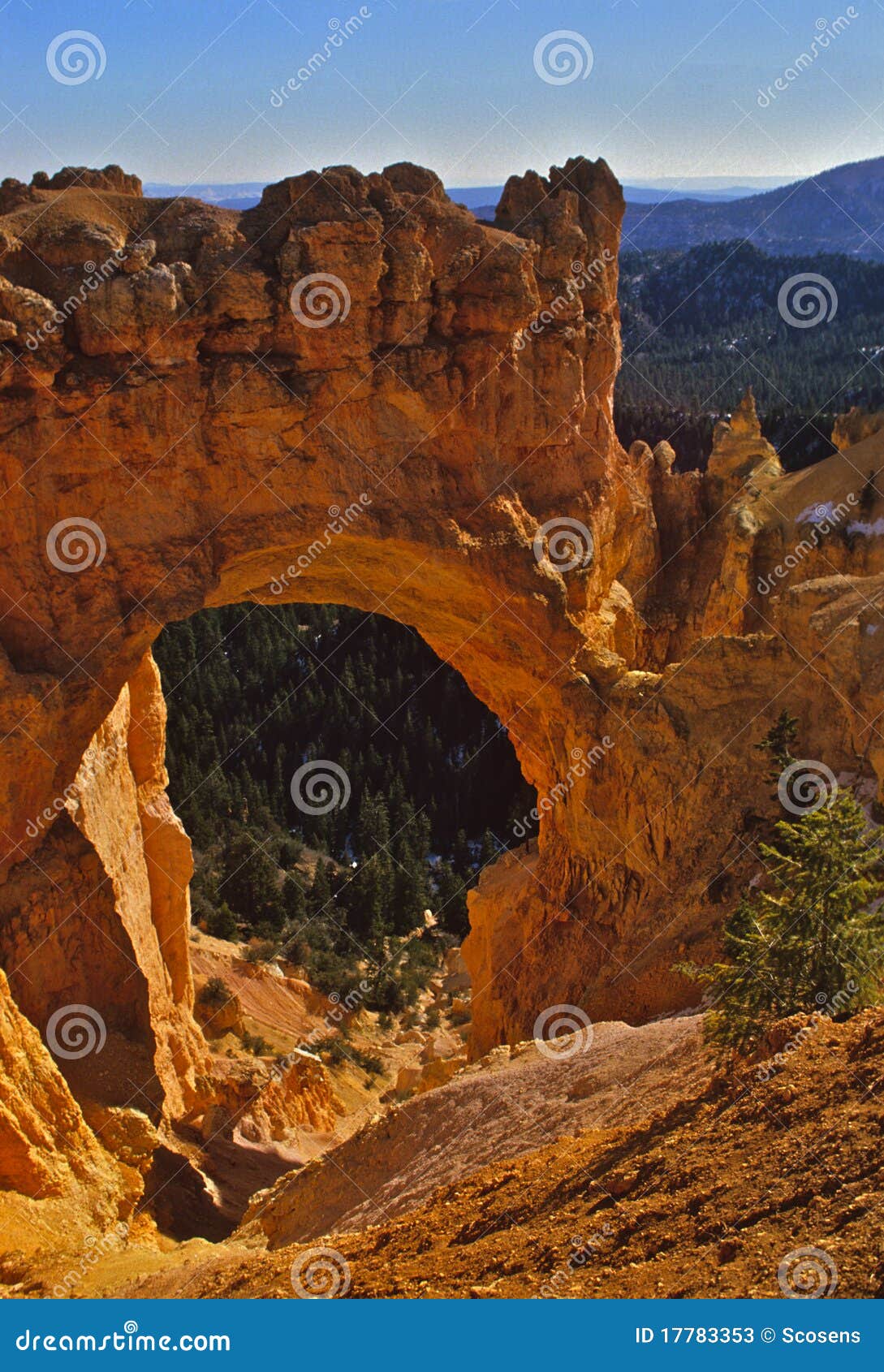Bryce Canyon bridge arch stock image. Image of travel - 17783353