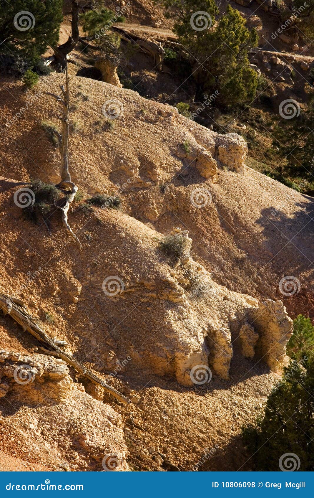 Bryce Canyon Erosion stock photo. Image of canyon, trail - 10806098