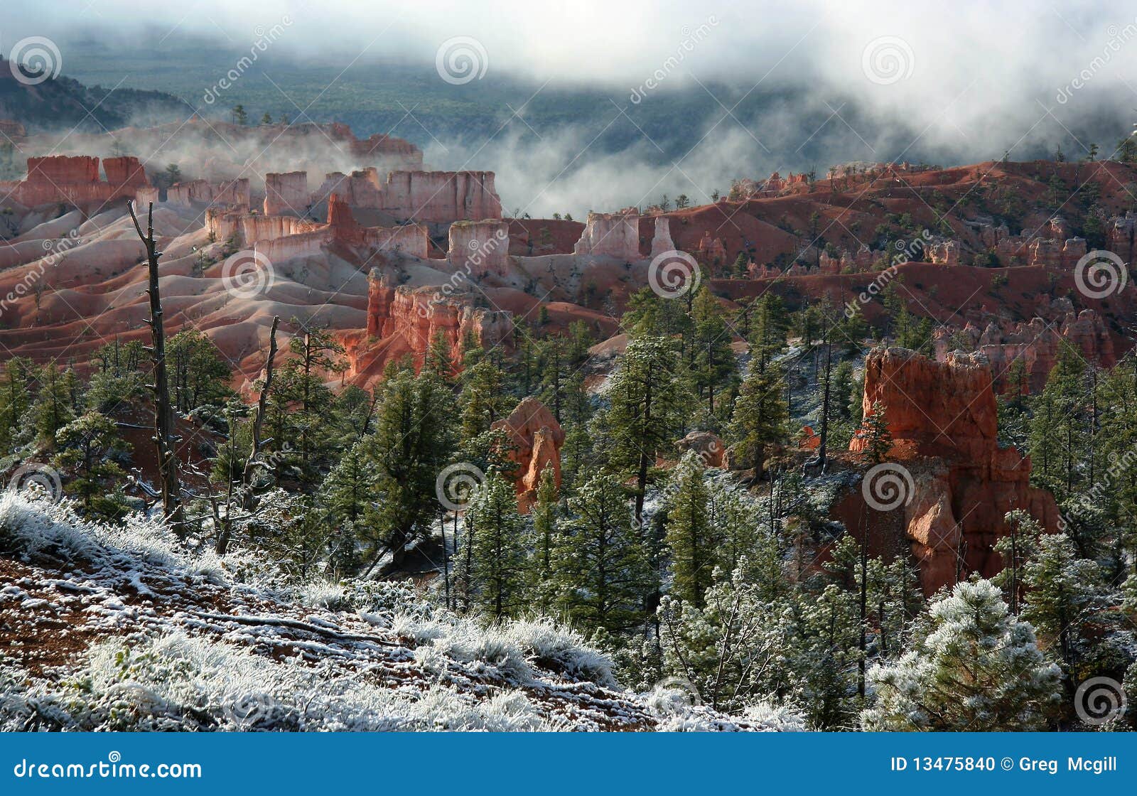 Bryce Canyon Fog stock photo. Image of hoodoos, canyon - 13475840