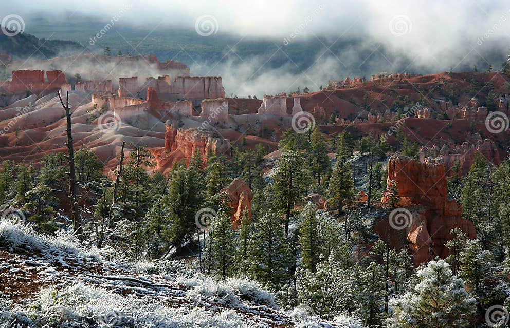 Bryce Canyon Fog stock photo. Image of hoodoos, canyon - 13475840