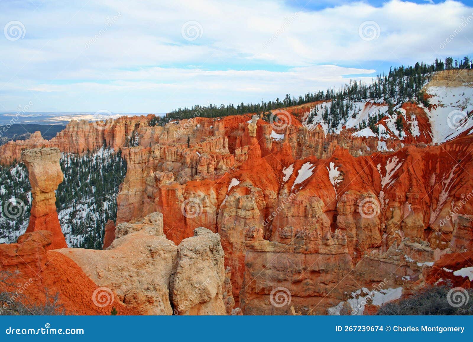 Bryce Canyon National Park stock photo. Image of states - 267239674