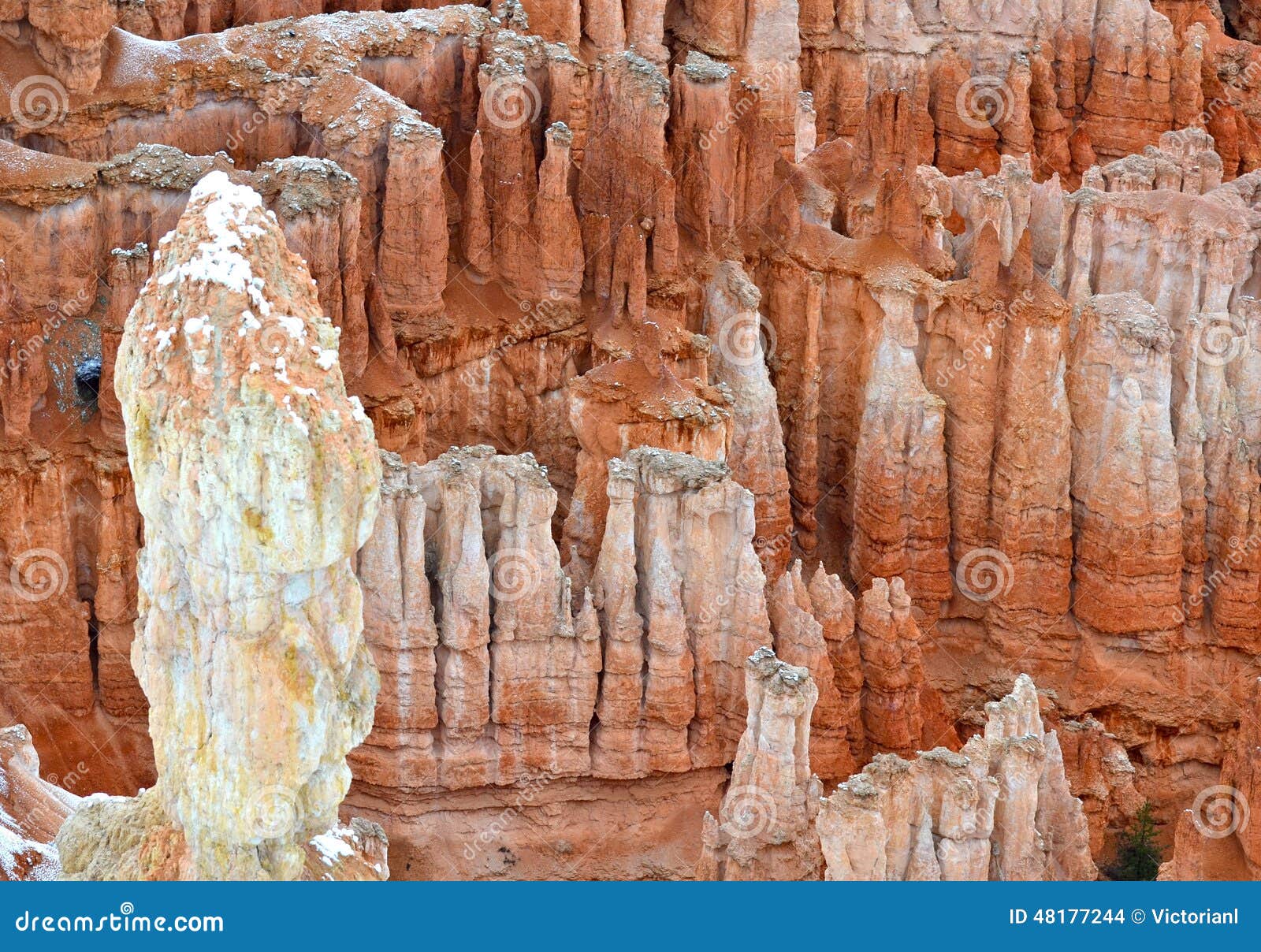 Bryce Canyon National Park, USA Stock Photo - Image of nevada, hammer ...