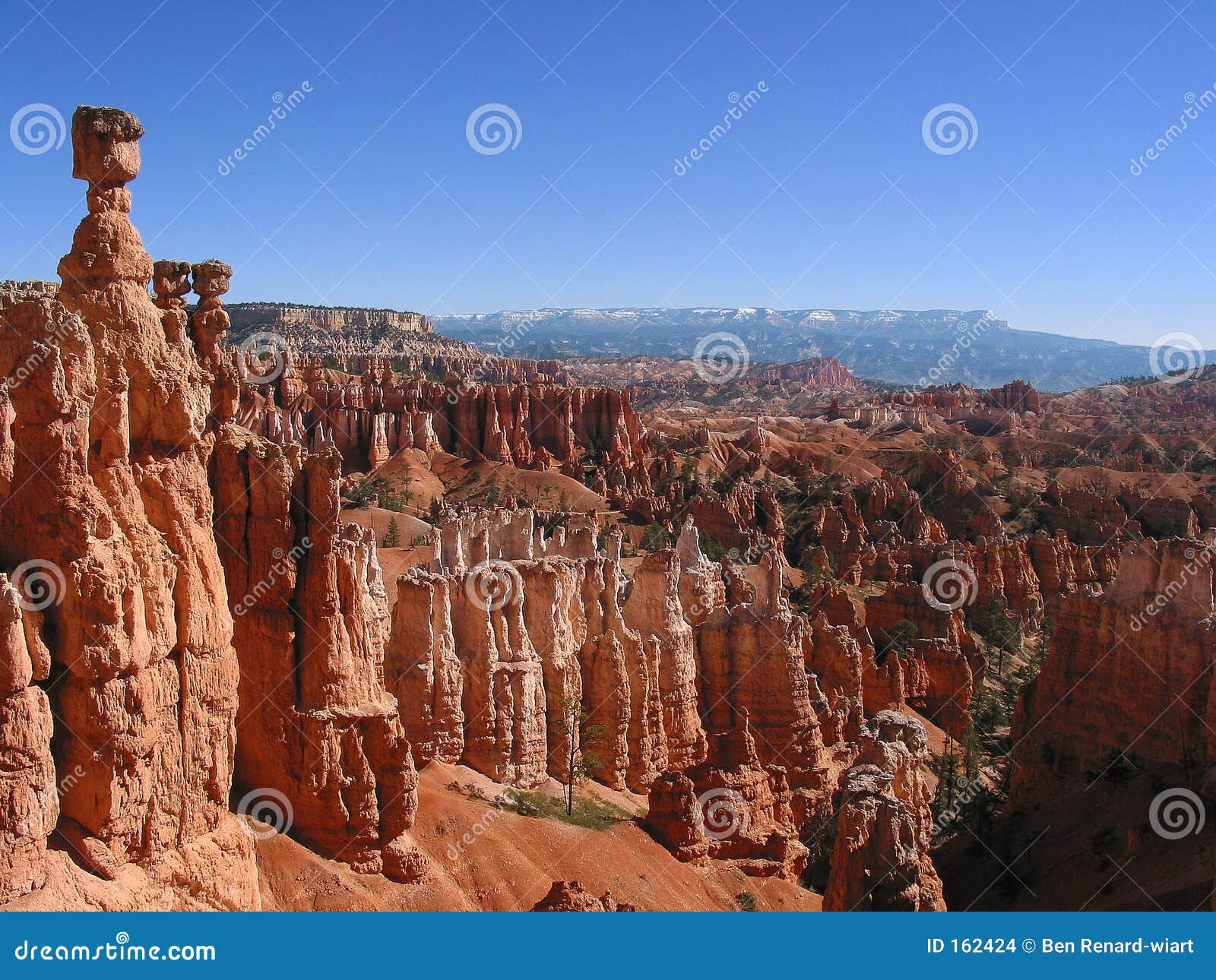 Bryce Canyon National Park in Utah. Stock Photo - Image of scenics ...