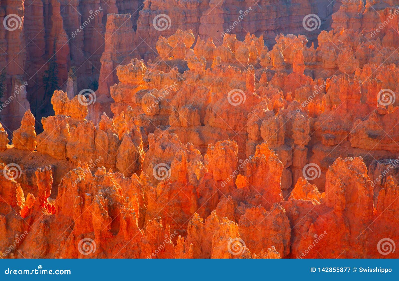 Bryce canyon stock image. Image of landmark, fall, natural - 142855877