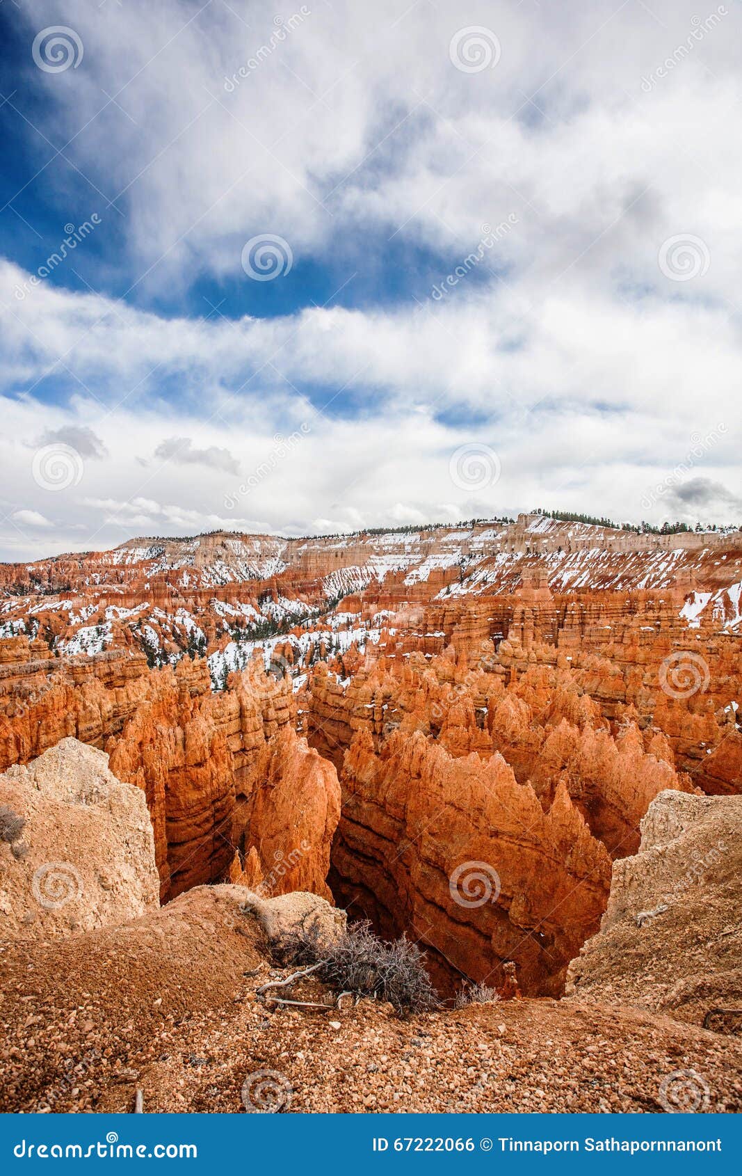 Bryce Canyon National Park, Utah Stock Photo - Image of park, columns ...