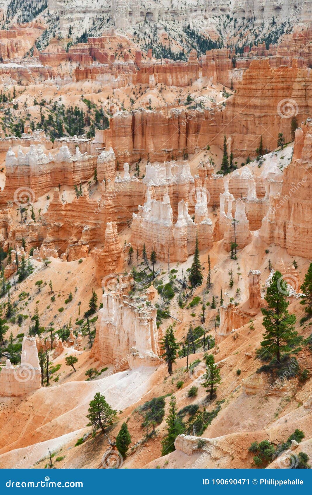 Bryce Canyon, USA - July 9 2016 : National Park Stock Image - Image of ...