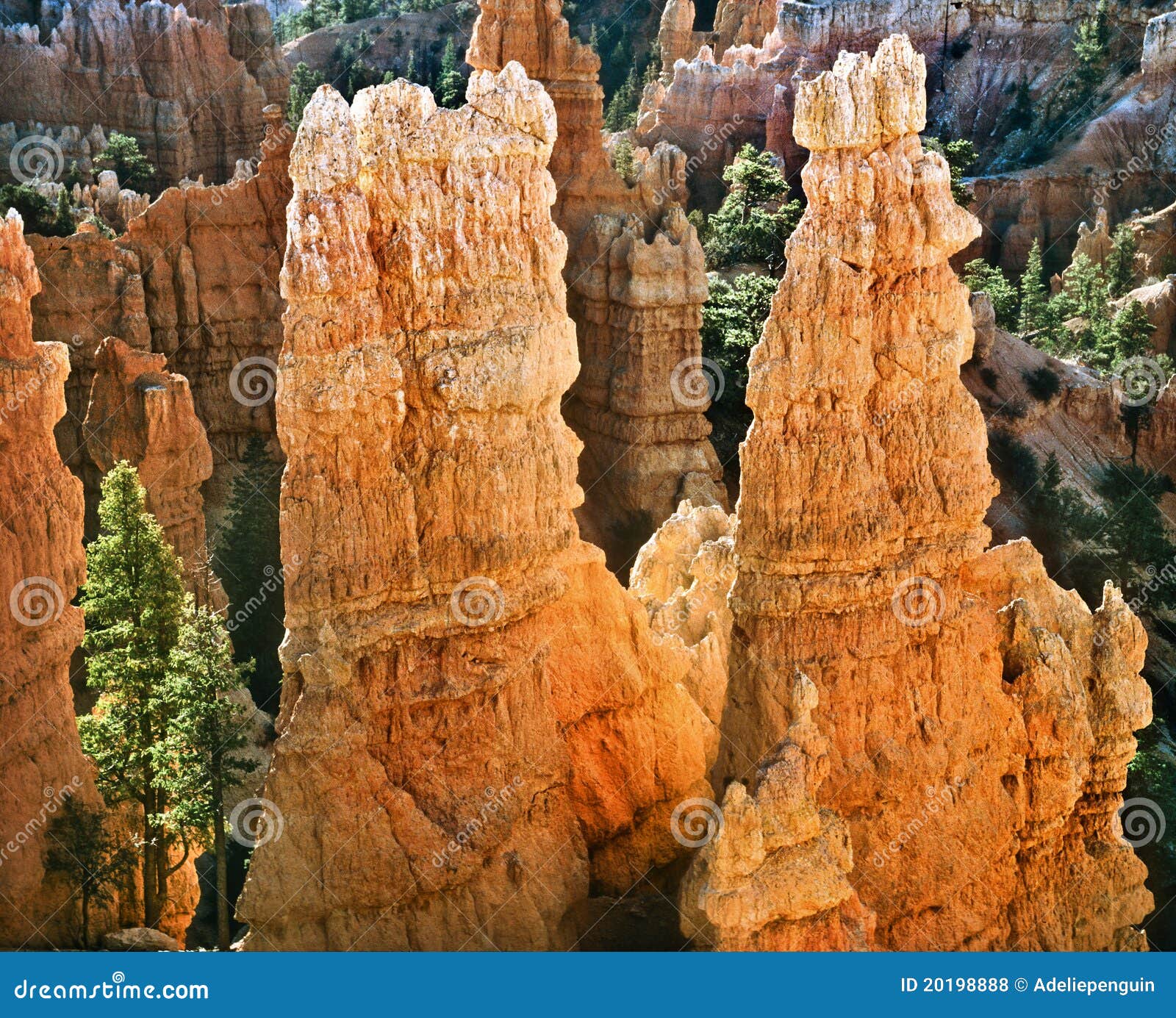 Bryce Canyon, Utah stock photo. Image of travel, national - 20198888