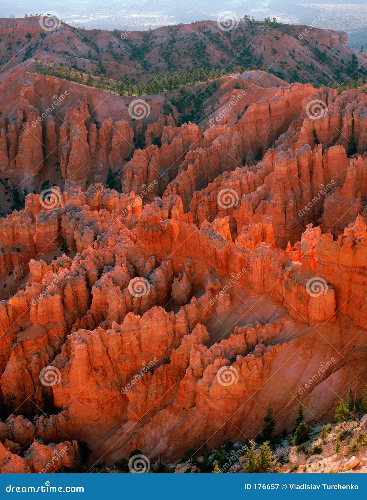 Bryce Canyon View from Bryce Point Stock Image - Image of sandstone ...