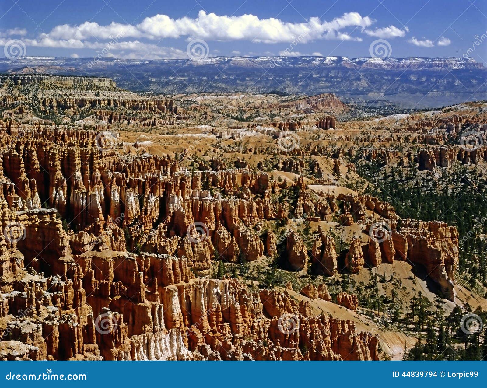 Bryce Canyon stock photo. Image of plants, spires, limestone - 44839794
