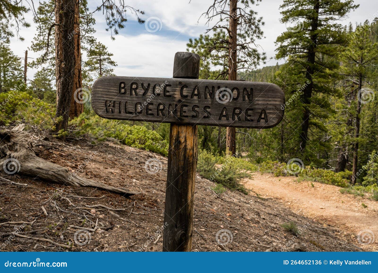 Bryce Canyon Wilderness Sign Stock Photo - Image of bristlecone ...